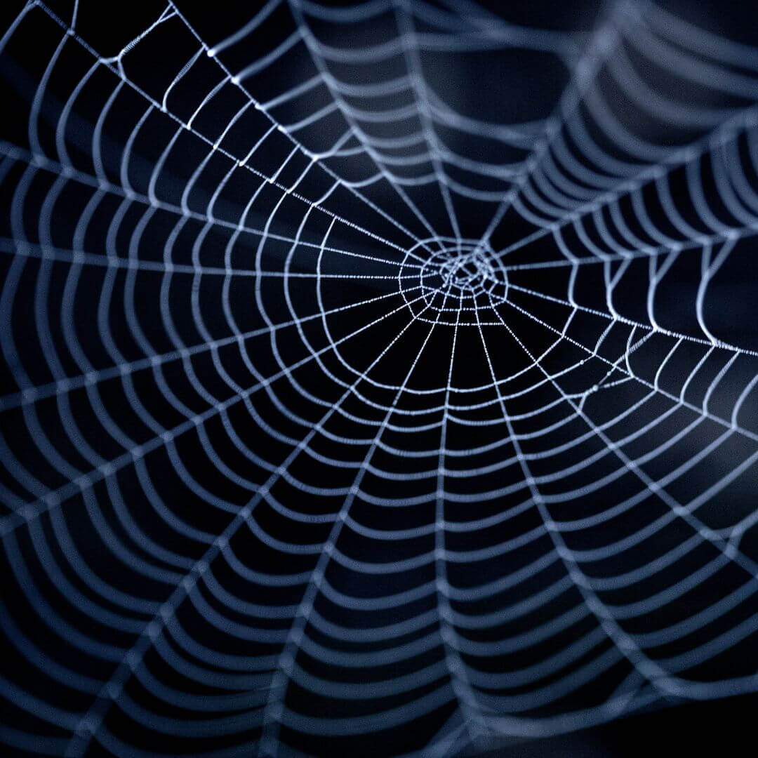 Japanese Superstitions and Their Meanings - NihongoNana